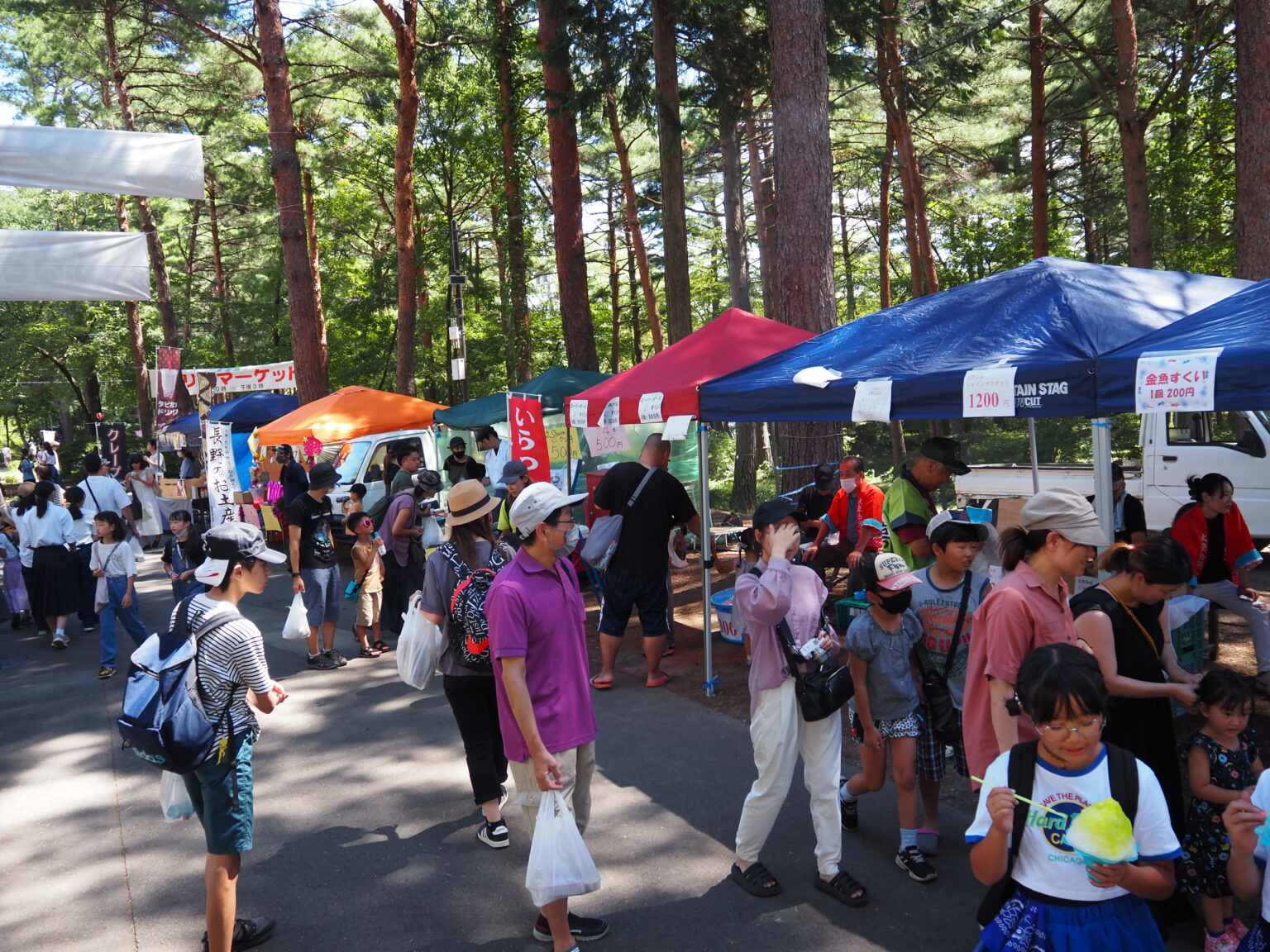 大芝高原まつり | 来てみらしー！信州みなみみのわ－南箕輪村観光協会－